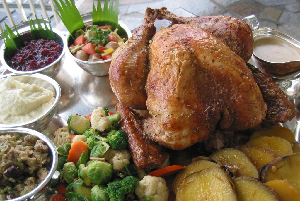 turkey - 마이하와이